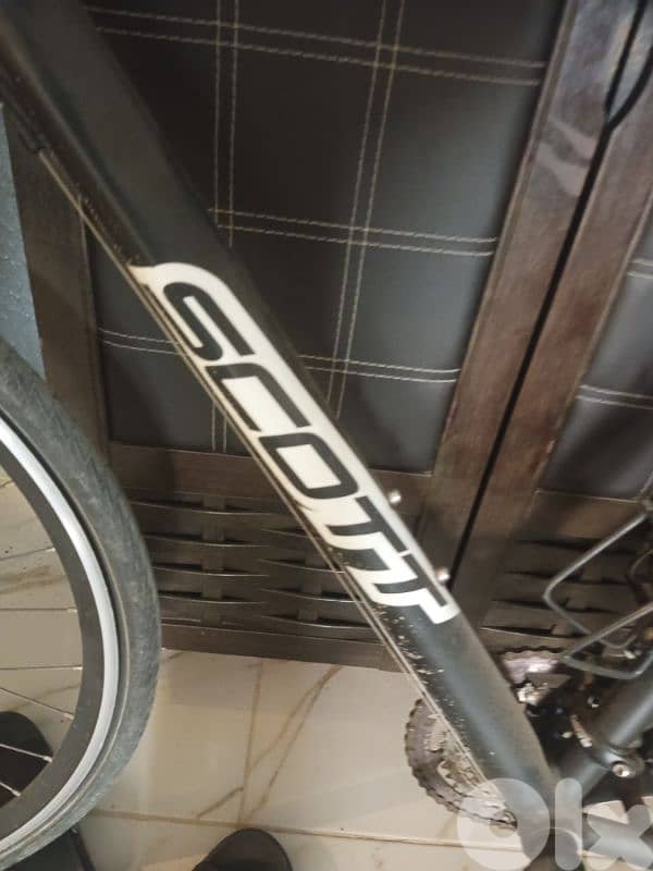 SCOTT BICYCLE - Bicycles & Accessories - 116409492