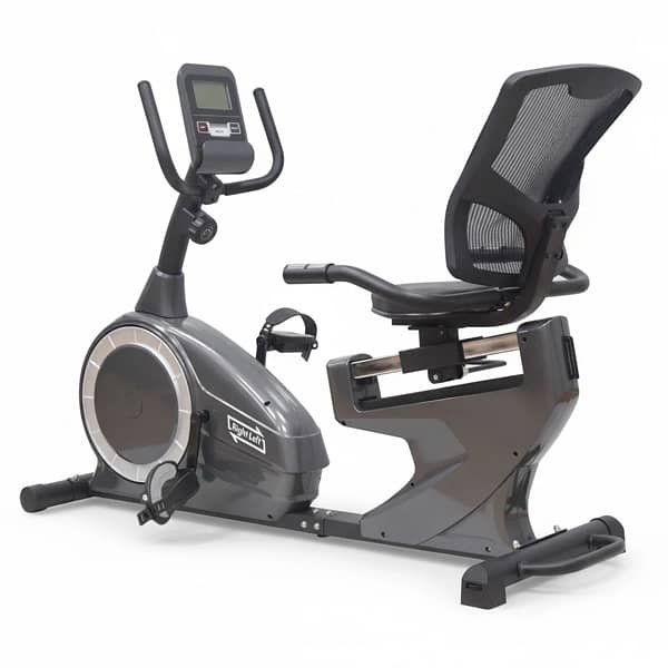 Recumbent Bike #301R - Gym, Fitness & Combat sports - 116759579